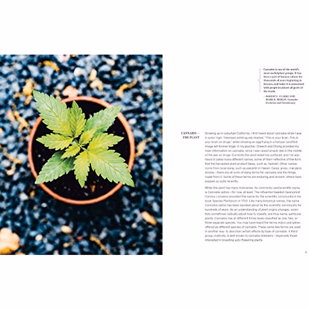 The Cannabis Gardener: A Beginner's Guide to Growing Vibrant, Healthy Plants in Every Region [A Marijuana Gardening Book]