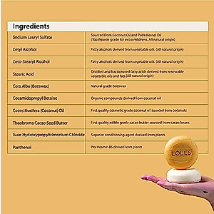 LOLE'S Shampoo Bar and Conditioner, 2in1 Men's Care for Cleaning Hair, Body and Beard, Coconut Scent, 99% Natural Origin, Sustainably Sourced, 3.5Oz
