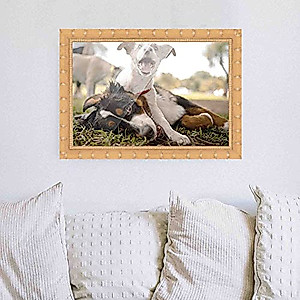 14x21 Light Brown Bamboo Real Wood Picture Frame Width 1.5 Inches | Interior Frame Depth 0.5 Inches | Bengal Bamboo Photo Frame Complete with UV Acrylic, Foam Board Backing & Hanging Hardware