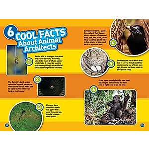 Animal Architects (National Geographic Kids Readers, Level 3)