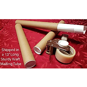 Dobro G Tuning Resonator Guitar Fretboard Note & Rolls Chart - Beginners & Intermediate Instructional Easy Poster Chords 11x17 | A New Song Music