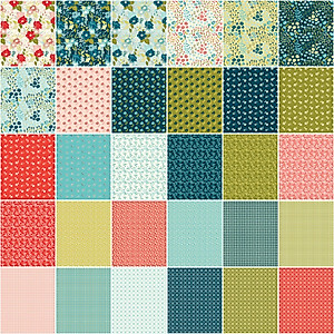 Sandy Gervais Feed My Soul 10"" Stacker 42 10-inch Squares Layer Cake Riley Blake Designs 10-14550-42, Assorted