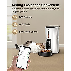 Petory Automatic Cat Feeders Wi-Fi - 4L Dry Food Dispenser for Cats and Dogs 10 Meals per Day Smart Pet Feeder with Desiccant Bag Dual Power Supply 10S Voice Recorder