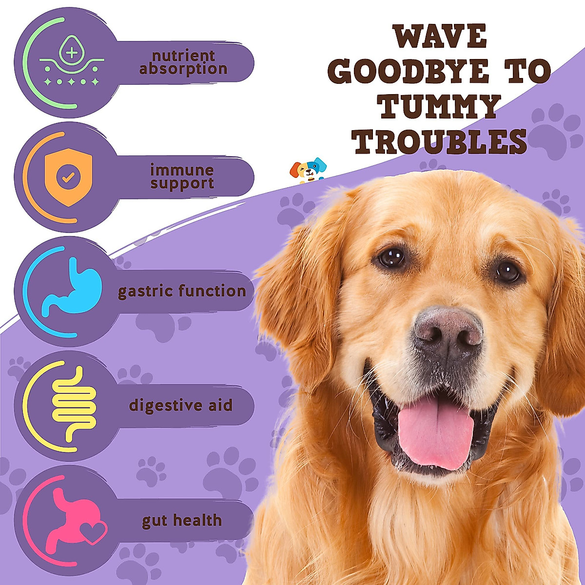 Jack&Pup Bundle - Bully Sticks + Pro-Digest Supplements | 6-Inch Odor Free [Thick Size] Bully Sticks (5 Pack) | Pro-Digest Probiotics for Dogs (60 Chews)