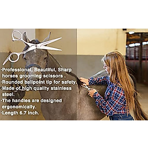 Horse Grooming Kit （10-Piece） with Tote，Horse Cleaning Tool Set with Assorted Hair and Curry Comb, Hoof Pick Sweat Scraper，Grooming Scissors，Portable Black Storage Bag，Riding Equipment for Beginners