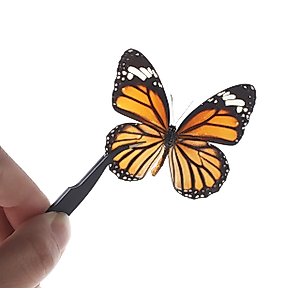 Making Insect Specimen Tools Kit, with Insect Pins,Insect Pinning Board, Wings Pressing Paper,Tweezers, Scissors, Insect Display Case, Insect Collection for Bug Hobbyist/Biology Projects