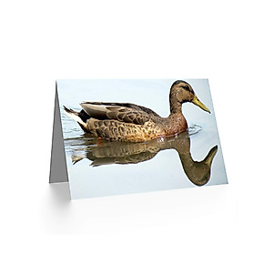 Wee Blue Coo CARD GREETING BIRTHDAY SWIMMING BROWN DUCK GIFT