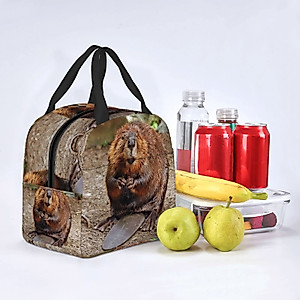 Larklitz Cute Funny Beaver Reusable Insulated Lunch Bag, 8.5in x 8in x 5in, Polyester, For Women Men