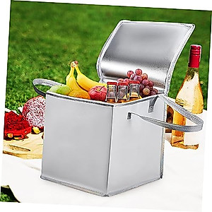 Garneck 2 Pcs Insulation bags hot cold transport bags food delivery bag pizza delivery bags plastic container plastic favor bags plastic gift bag cooler bag insulated large cooler bag