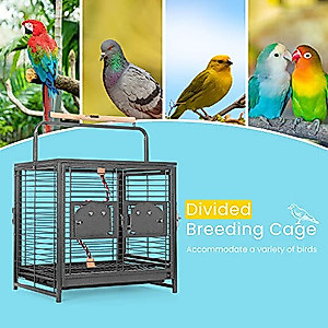 VIVOHOME 19 Inch Wrought Iron Bird Travel Carrier Cage for Parrots Conures Lovebird Cockatiel Parakeets Black
