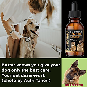 Busters Calming Hemp Oil, Enriched with Melatonin for Dogs, Cats, Pets, Sleep Aid, Natural Anxiety Relief, Ideal Omega Ratio, Adrenal and Cushings Support