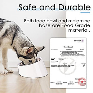 SuperDesign Mess Free 15° Slanted Bowl for Dogs and Cats, Tilted Angle Bulldog Bowl Dog Feeder, Non-Skid & Non-Spill, Easier to Reach Food S/0.5 Cup White