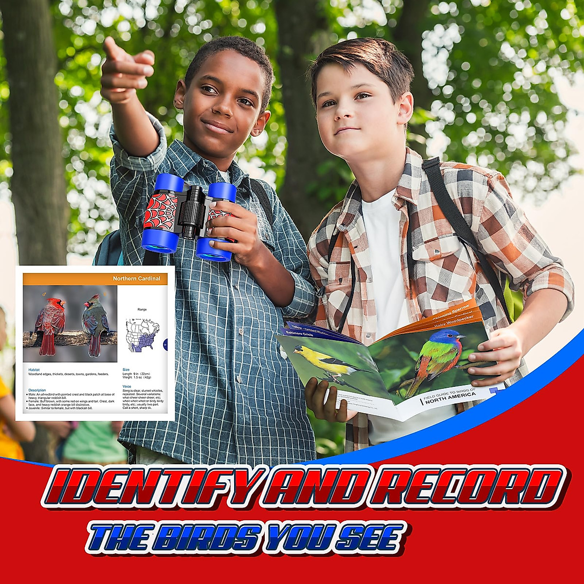 Binoculars Toys for Kids Ages 3-8: Spidolapse Outdoor Adventure Toy with Bird Watching Guide for 4 5 6 7 8 Year Old Boys Girls Easter Birthday Gifts Toddler Travel Camping Binoculars Toy Age 4-6