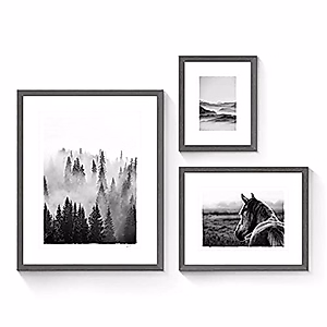 SunFlax Nature View Pictures Prints Framed - Mysterious Foggy Scenery Photography Black and White Wall Art with Wooden Frame for Bathroom, Living Room, Bedroom, Office 3 Panels