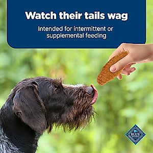 Blue Buffalo Nudges Jerky Cuts Dog Treats, Made in the USA with Natural Ingredients, Chicken, 10-oz Bag