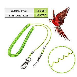 Parrot Bird Harness Leash Anti-bite Outdoor Flying Training Rope with 5pcs Different Sizes of Soft Foot Loops and Training Whistle(Upgraded Version of Ankle Ring)