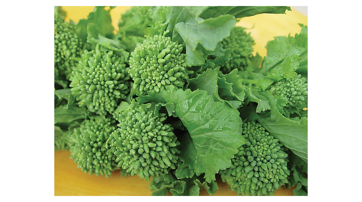 Burpee Raab Spring Broccoli Seeds – 400 Seeds