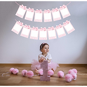 Pink Bow Photo Banner,First Birthday Decorations for Girl,Newborn to 12 Months Photo Banner,1st Birthday Milestone,First Year Photos,Baby Shower