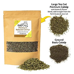 Kitty City Premium Natural Catnip