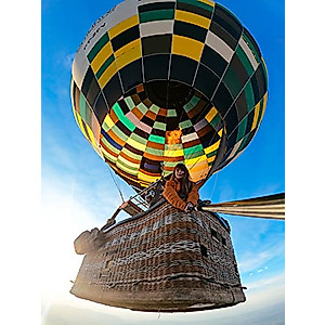 GoPro HERO10 Black - Waterproof Action Camera with Front LCD and Touch Rear Screens, 5.3K60 Ultra HD Video, 23MP Photos, 1080p Live Streaming, Webcam, Stabilization (Renewed)