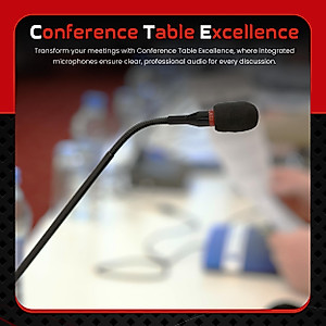 NOVIK NEO FNK 10 Cardioid Condenser Gooseneck Microphone, Directional