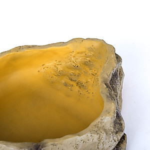 REPTIZOO Reptile Water Bowl Terrarium Water Dish Food Feeding Bowl for Reptile Amphibian Pets Medium(8"x 6.1"x 1.7")