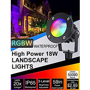 LCARED Landscape Lighting 18W RGBW LED Spotlights, Color Changing Lights with Remote Control 120V RGB Waterproof Flood Spot for Yard Garden Path Patio Tree (2 Pack), Black
