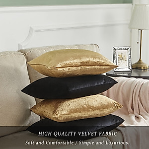 GIGIZAZA Decorative Throw Pillow Covers 18 x 18,Gold Black Soft, Set of 4 Square Velvet Cushion Covers