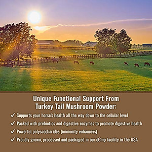 Mushroom Matrix Equine Turkey Tail Mushroom Supplement, Fortify, 30 Servings, Holistic Immune Support for Horses, 300 Grams, Organic, Product of USA
