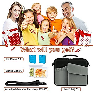 TORRYZA Kids Lunch Box,Expandable Lunch box for Men/Boys,Insulated Lunch Bag for Kids,Double Insulated with 2 Reusable Storage Bags & 2 Ice Packs,Lunch Tote Bag for Office/Picnic-Grey&Black