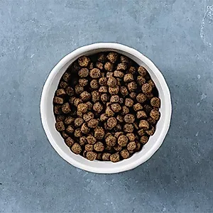 Evolve Classics Lamb and Brown Rice Recipe Dog Food, 14lb