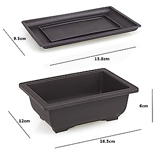 MissFox Bonsai Bowl with Saucer, Potted Plants Plant Pot for Garden, Bonsai Training Pots Made of Plastic, 6 Flower Pots Square Large with 6 Trays and 3 Mini Garden Tool Set, 16 x 12 x 6 cm