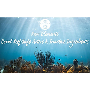 Raw Elements Mineral Sunscreen Moisturizer - Non-Nano Zinc Oxide, 95% Organic, Reef Safe, SPF 30+, Unscented, 3oz Tube (2-Pack)