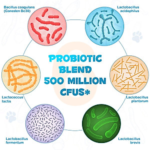 Dog 15-in-1 Multivitamin Chewable, Dog Vitamins & Supplements, Pet Joint Support Health - Immunity - Mobility - Gut - Skin, Dog Vitamins with Biotin, Cranberry, Glucosamine for Dogs (120 Chews)