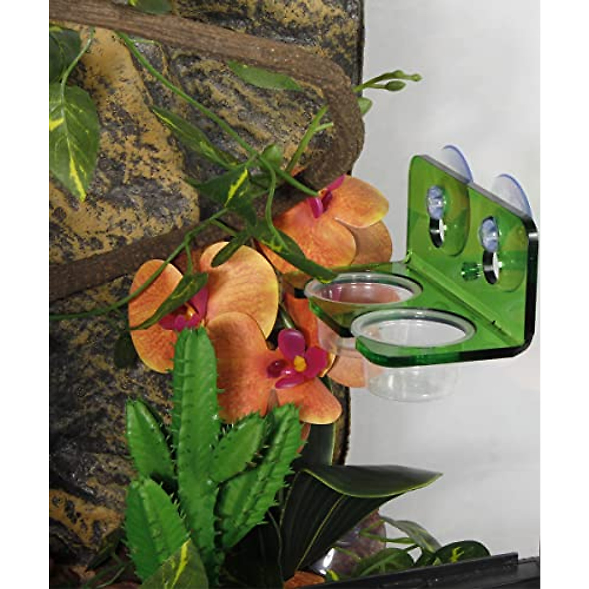 WOLEDOE 1oz Crested Gecko Food Cups, 100Pcs Reptile Plastic Feeding Dish