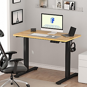 FLEXISPOT EN1 Whole-Piece Standing Desk - 48" x 30" Electric Height Adjustable Heavy Duty Steel Stand Up Desk Frame w/Automatic Smart Keypad (Black Frame + Maple Top, 2 Packages)