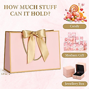 JMANNI Gift Bags, Small Gift Bags, 2Pcs Paper Gift Bag with 4 Tissue Paper and 2 Greeting Cards, Present Bags with Handles for Women Girls Bridesmaid Birthday Valentines Wedding Party (Pink-Golden)