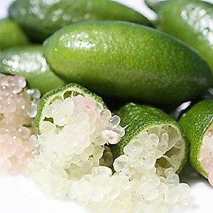 QAUZUY GARDEN 20 Seeds New Mixed Finger Lime Seeds Green Red Pink Non-GMO Caviar Lime Fruit Seeds- Delicious Nutritious Fruit - Easy to Grow & Harvest