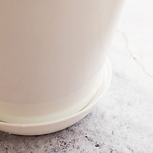 Youngever 8 Pack 5.5 Inch Plastic Planters Indoor Flower Plant Pots, Classic Decorative Gardening Pot with Drainage Holes (White with Saucers)