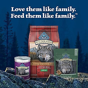 Blue Buffalo Wilderness Trail Treats High Protein Grain Free Dog Biscuits Crunchy Dog Treats, Duck Recipe, 24-oz Bag