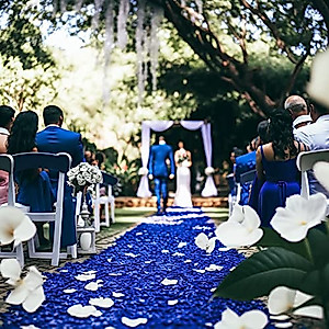 Aldeepo 1000 Pcs Artificial Rose Petals for Romantic Night, Fake Rose Flower Petals for Wedding, Party, Valentines Day Decorations for The Home (Blue)