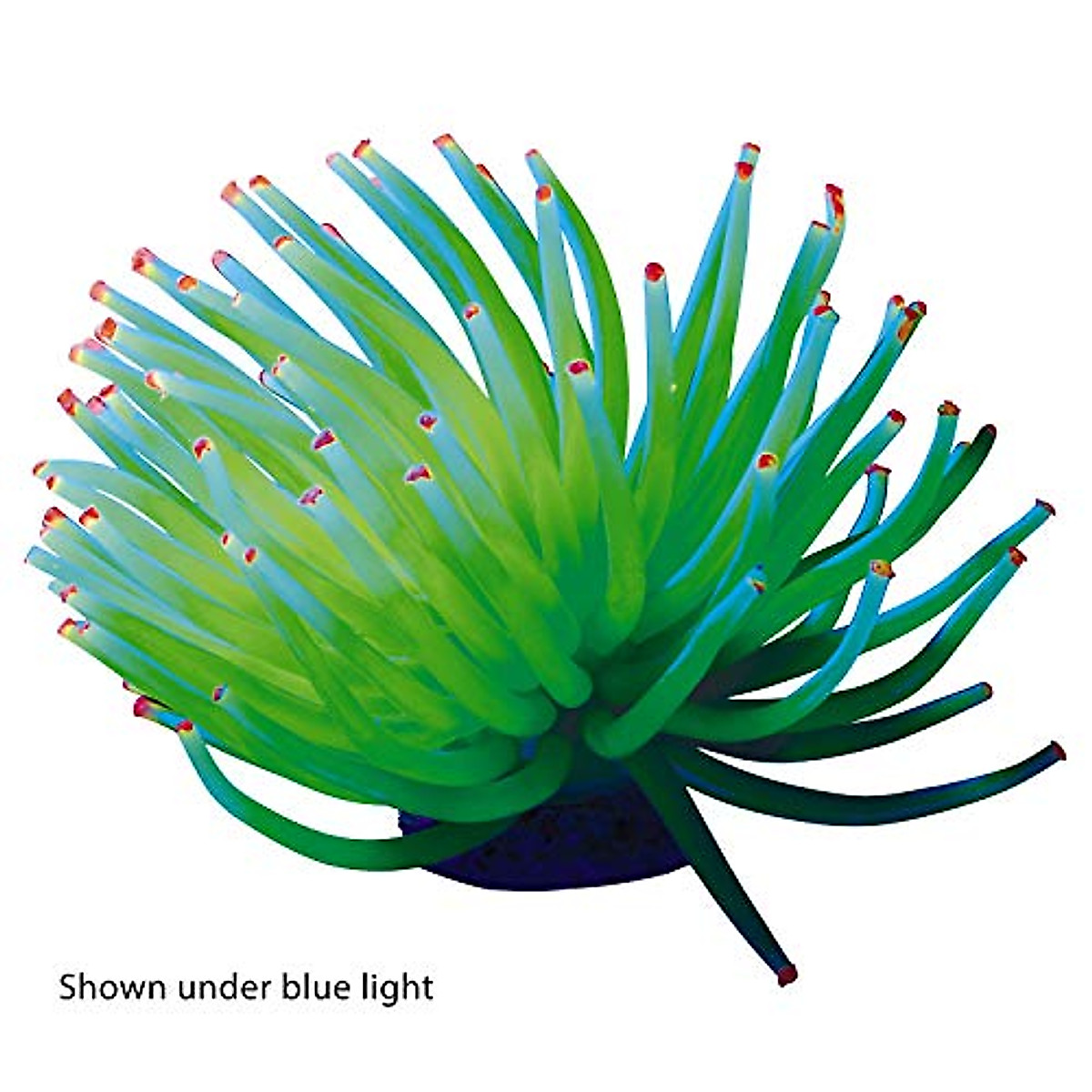 GloFish Anenome Ornaments, Fish Tank Decorations, Aquarium Decorations, Creates a Glowing Effect