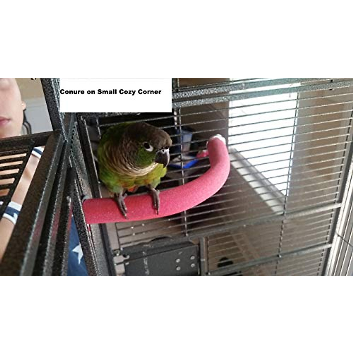 Polly's Cozy Corner Bird Perch, X-Large