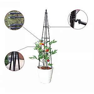 FOLLOOK Garden Trellis for Climbing Plants Outdoor, 67" Tall Cucumber Trellis for Raised Bed, Tomato Cage for Garden Obelisk Trellis for Climbing Vine, Black, 1 Pack