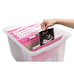Kid's Craft Memory Keepsake Organizer Box - Clear Storage Latching Bin with Hanging File Folders and Custom Tab Inserts (Pink)