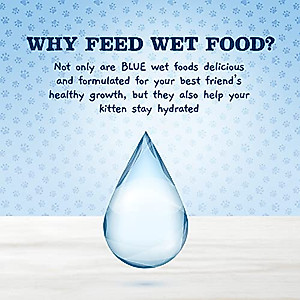 Blue Buffalo Baby BLUE Healthy Growth Formula Grain Free High Protein, Natural Kitten Pate Wet Cat Food Variety Pack, Chicken, Salmon 3-oz (6 Count- 3 of Each Flavor)