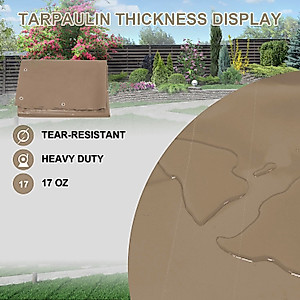 Ezcasch 17 Oz Outdoor Vinyl Curtain, Outdoor Clear Panel Curtain, Weather Resistant Outdoor Curtain for Pergola, Porch, Gazebos, with Rustproof Grommets (8'H x 7'W, Beige)