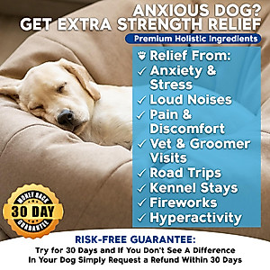 Well Loved Calming Chews for Dogs - Dog Anxiety Relief, Made in USA, Vet Recommended, Dog Calming Chews - Anxiety Relief Treats, Melatonin for Dogs, Hemp Dog Treats for Calming, Extra Strength