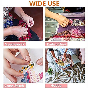 Vilihkc Rainbow Color Embroidery Floss 447 Skeins Per Pack with Cotton for Cross Stitch Threads Bracelet Yarn Craft Floss Embroidery Floss Set