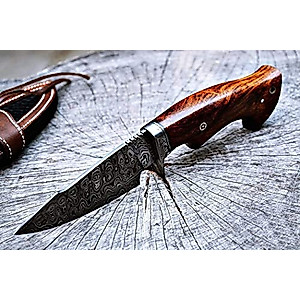 BIGCAT ROAR 10" Handmade Damascus Hunting Knife with Leather Sheath - Ideal for Skinning, Camping, Outdoor - EDC Fixed Blade Bushcraft Knife with Walnut Wood Handle - Predator Hunter